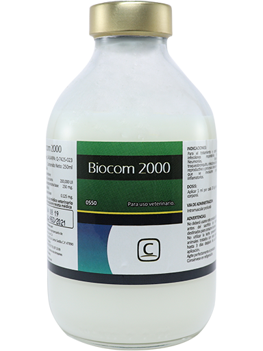 BIOCOM 2000 | PLM - Veterinario